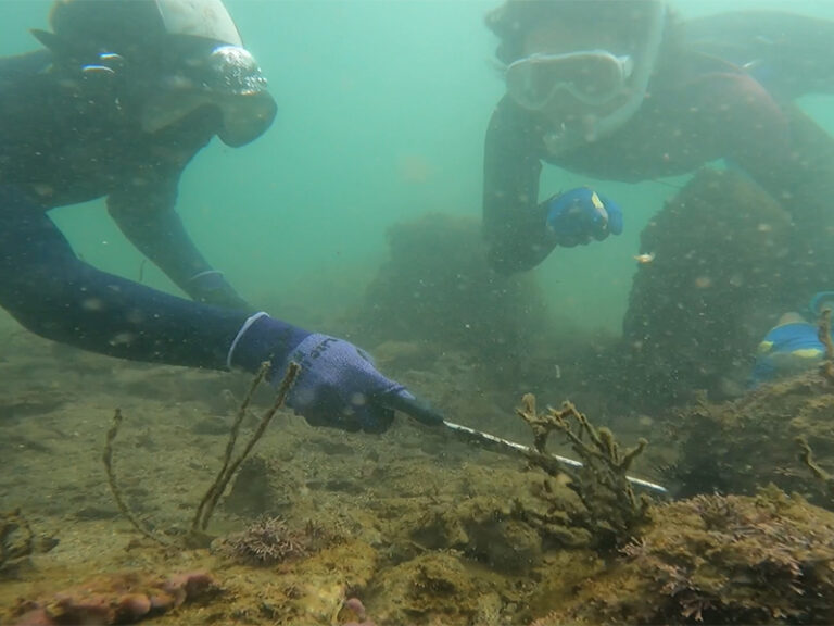 Ama Adventure Tour! - Kaito Yumin Club